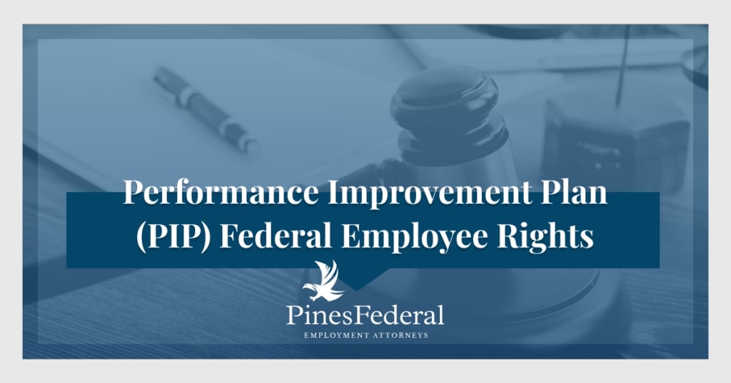 Performance Improvement Plan (PIP) Federal Employee Rights - Pines ...